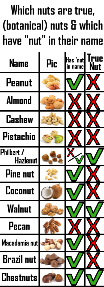 Visual : Which nuts are nuts – Infographic.tv – Number one infographics ...
