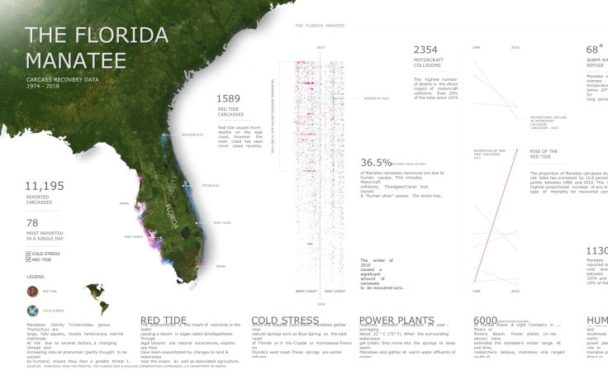 data visualization : The Manatee[OC] – Infographic.tv – Number one ...