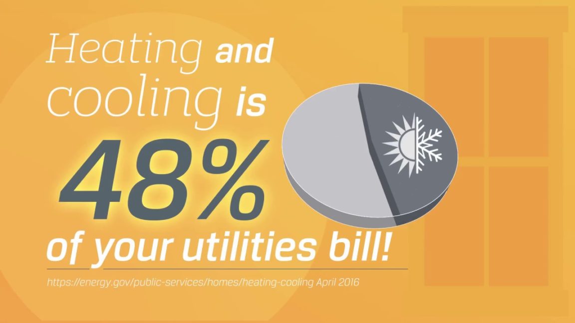 Video Infographic : Renewal by Andersen Energy Efficiency Infographic ...