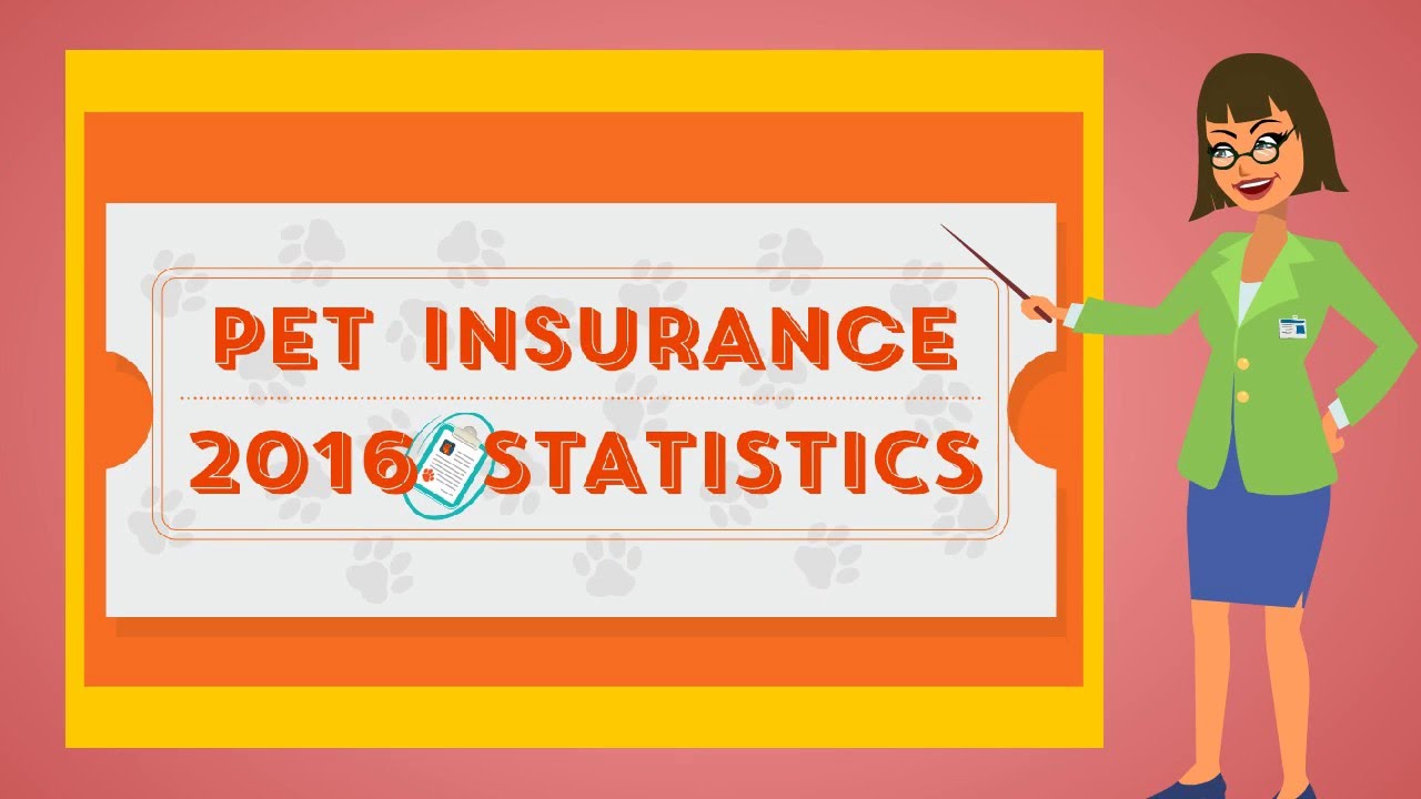 Video Infographic : Pet Insurance Infographic - Infographic.tv - Number ...