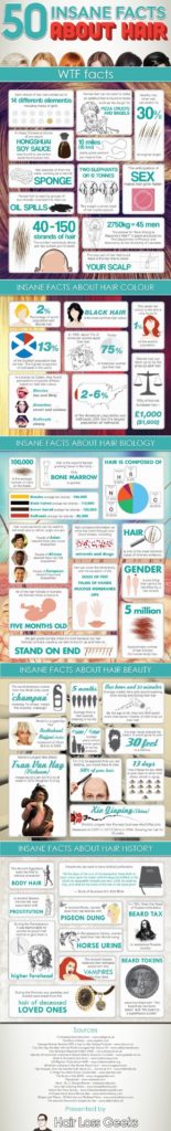 Data Chart : 50 Insane Facts About Hair [Infographic - Infographic.tv ...