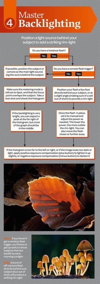 Data Chart : 27 Photography Cheat Sheets and Infographics For ...
