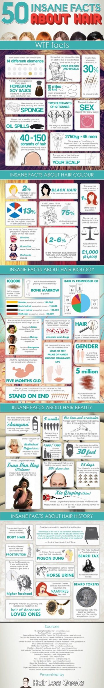 Data Chart : 50 Insane Facts About Hair [Infographic – Infographic.tv ...
