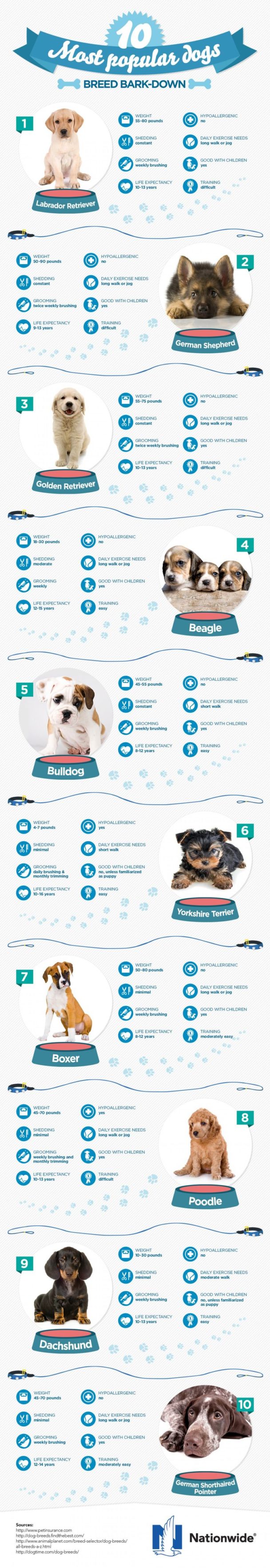Data Chart : A Breakdown Of The Ten Most Popular Dog Breeds # ...