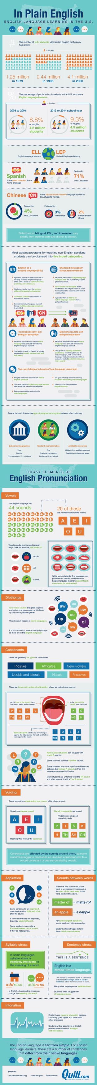 Data Chart : A Look at What It’s Like to Learn English in the U.S ...