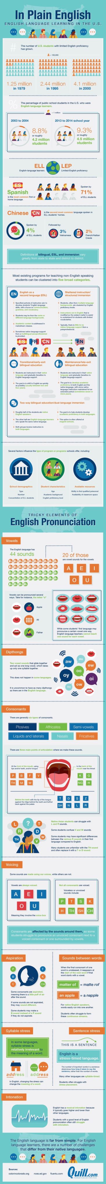 Data Chart : A Look at What It’s Like to Learn English in the U.S ...