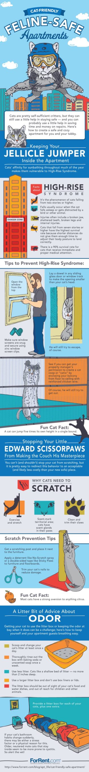 Data Chart : How To Cat-Proof Your Home Before Getting A Feline Friend ...