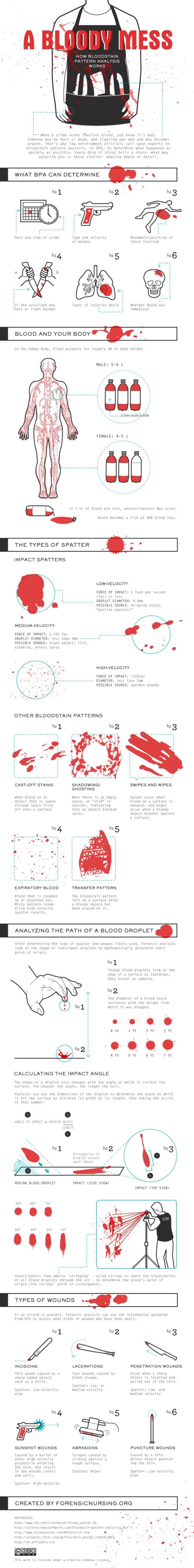 Data Chart : Bloody Mess [Infographic – Infographic.tv – Number one ...