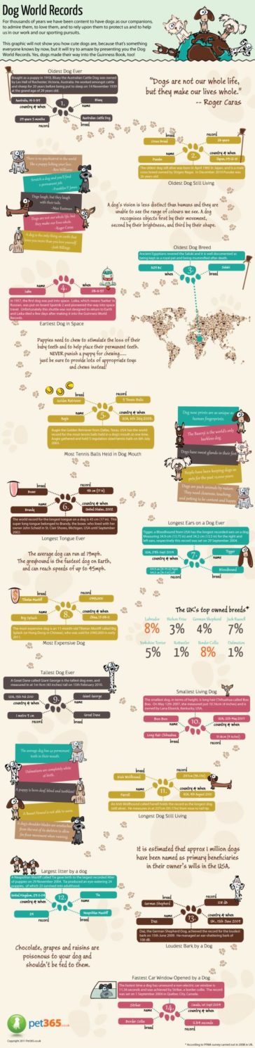 Data Chart : Dog World Records [Infographic – Infographic.tv – Number ...