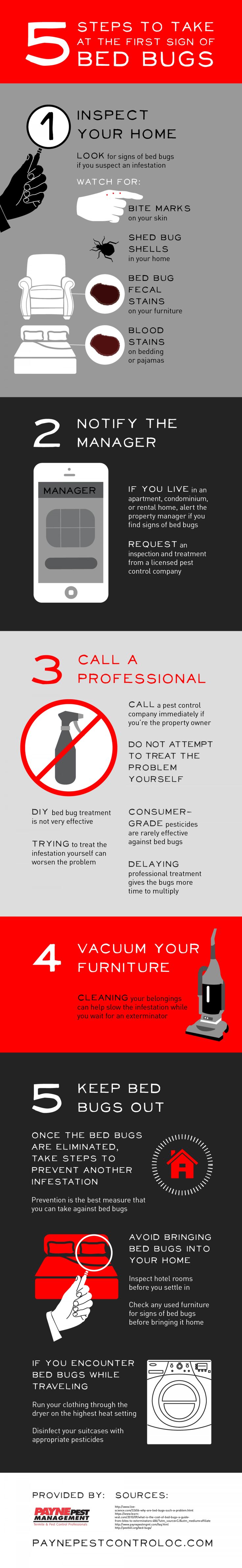 Data Chart : Five Steps To Take After Discovering Bed Bugs [Infographic ...