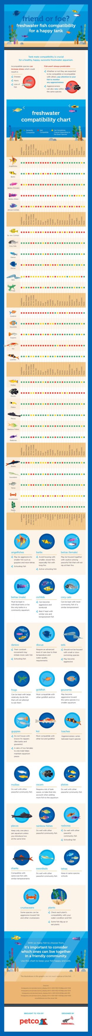 Data Chart : Friend or Foe? Freshwater Fish Compatibility for a Happy ...