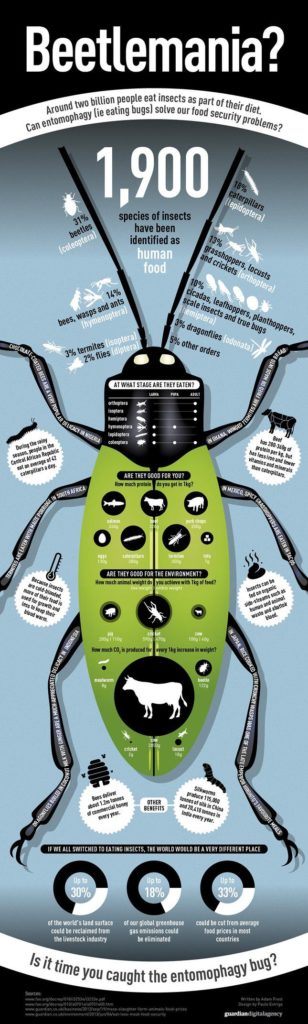 Data Chart : Have a Cricket – They’re Nice and Crunchy [Infographic ...