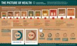 Data Chart : Health Habits, Worldwide [Infographic – Infographic.tv ...