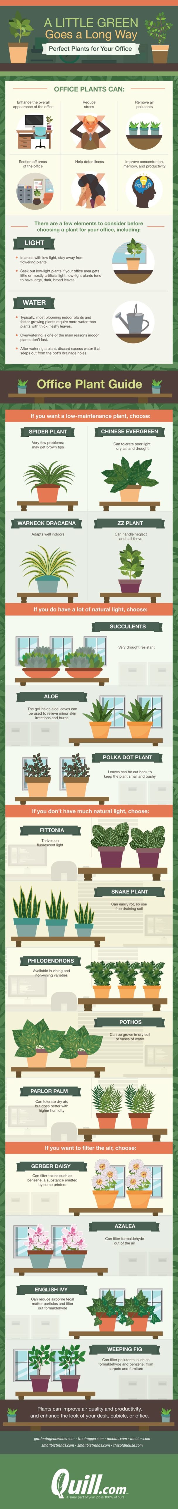 Data Chart : Here are plants that are perfect for your office. # ...