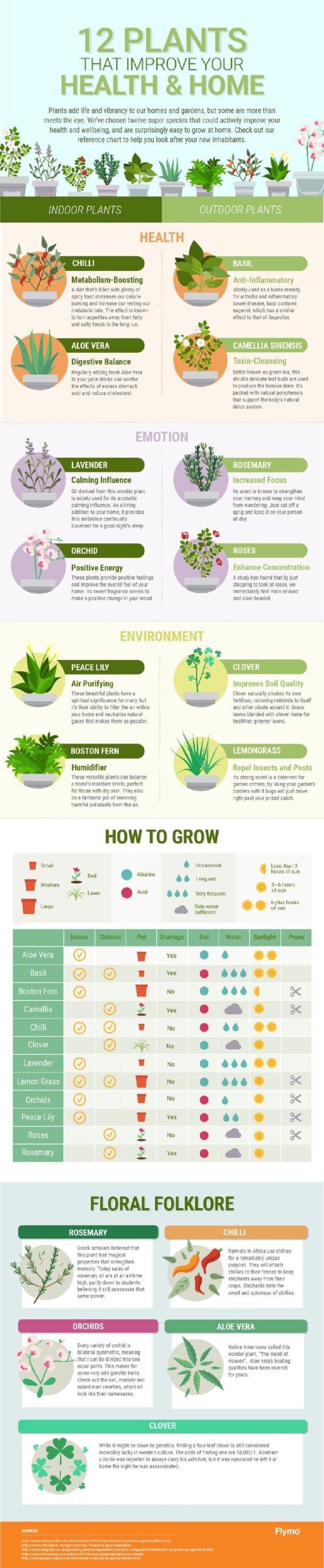 Data Chart : How To Grow 12 Super House Plants That Also Take Care Of ...