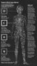 Data Chart : Human Body Ingredients [Infographic – Infographic.tv ...