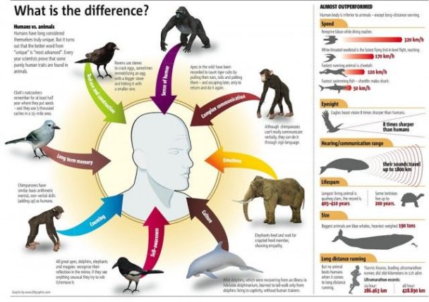 Data Chart : Humans vs. Animals [Infographic – Infographic.tv – Number ...