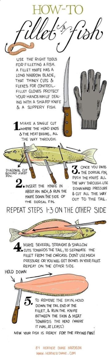 Data Chart : Infographic On How To Fillet A Fish – Infographic.tv ...