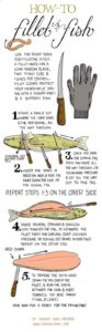 Data Chart : Infographic On How To Fillet A Fish – Infographic.tv ...