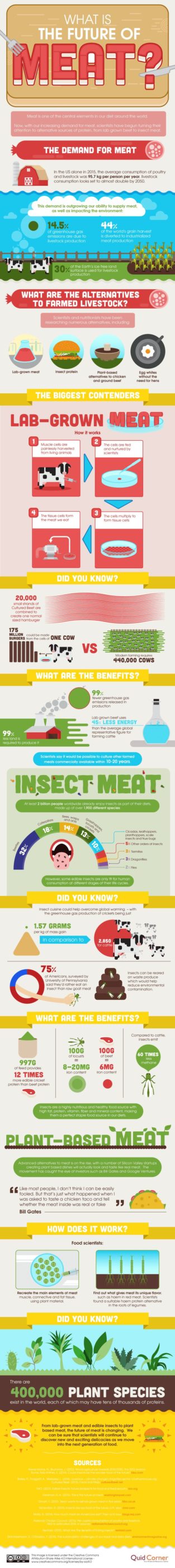 Data Chart : Meet The Future Of Meat [Infographic – Infographic.tv ...