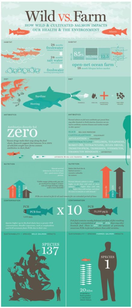 Data Chart : Salmon: Wild vs. Farm [Infographic – Infographic.tv ...