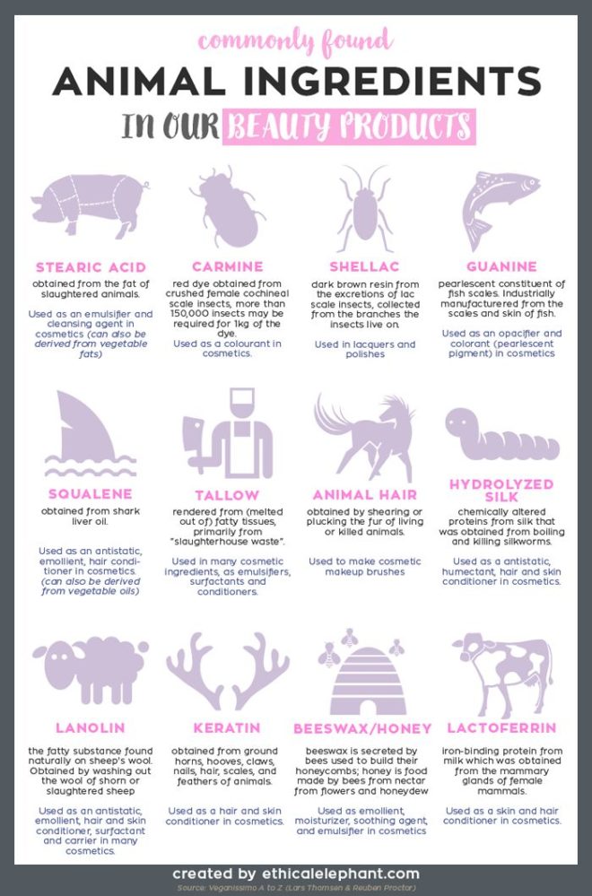 Data Chart : The Disturbing Truth About Animal Cruelty In The Beauty ...