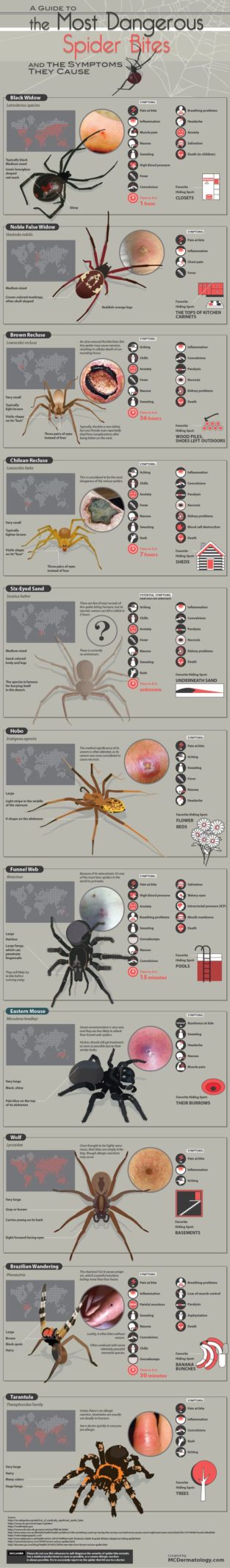 Data Chart : The World’s Deadliest Spiders [Infographic – Infographic ...
