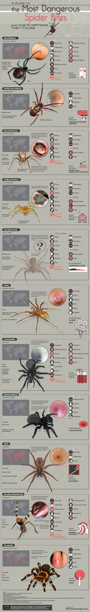 Data Chart : The World’s Deadliest Spiders [Infographic – Infographic ...