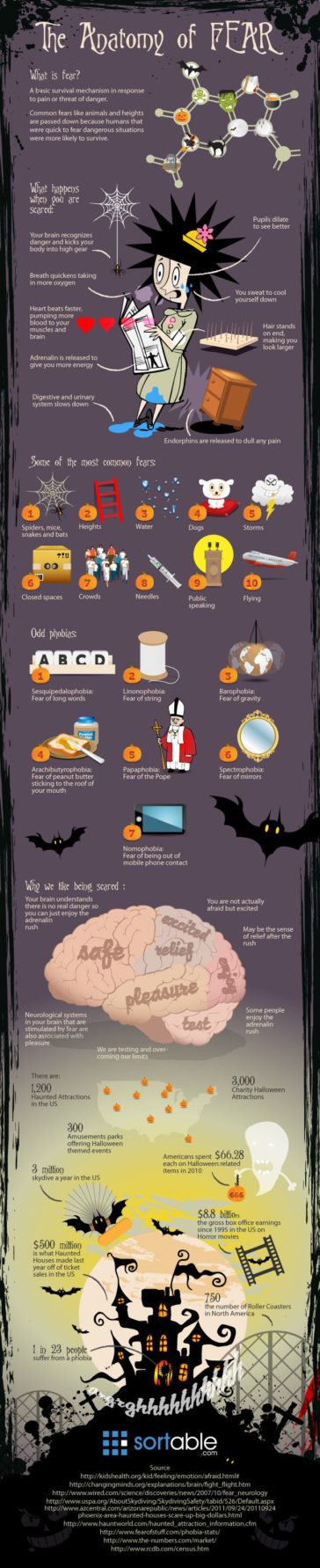 Data Chart : The anatomy of fear [Infographic – Infographic.tv – Number ...