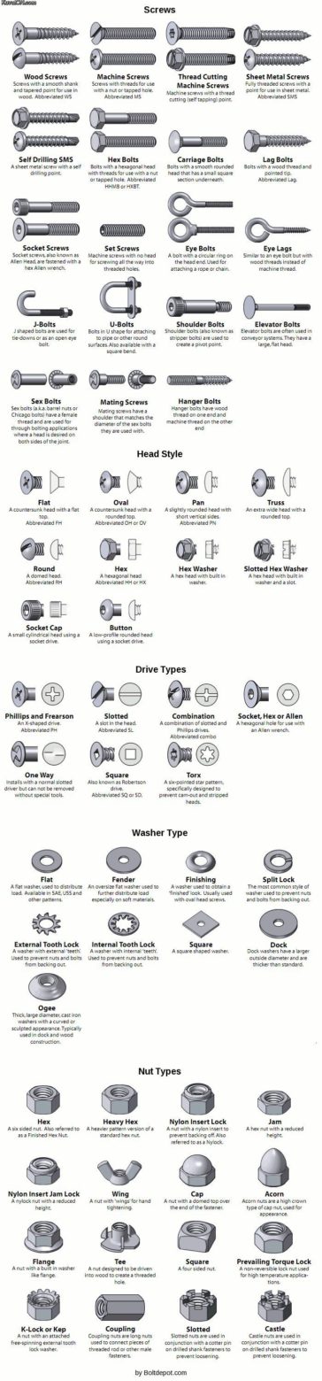 Data Chart : Types of Screws and Bolts [Guide] [Infographic ...