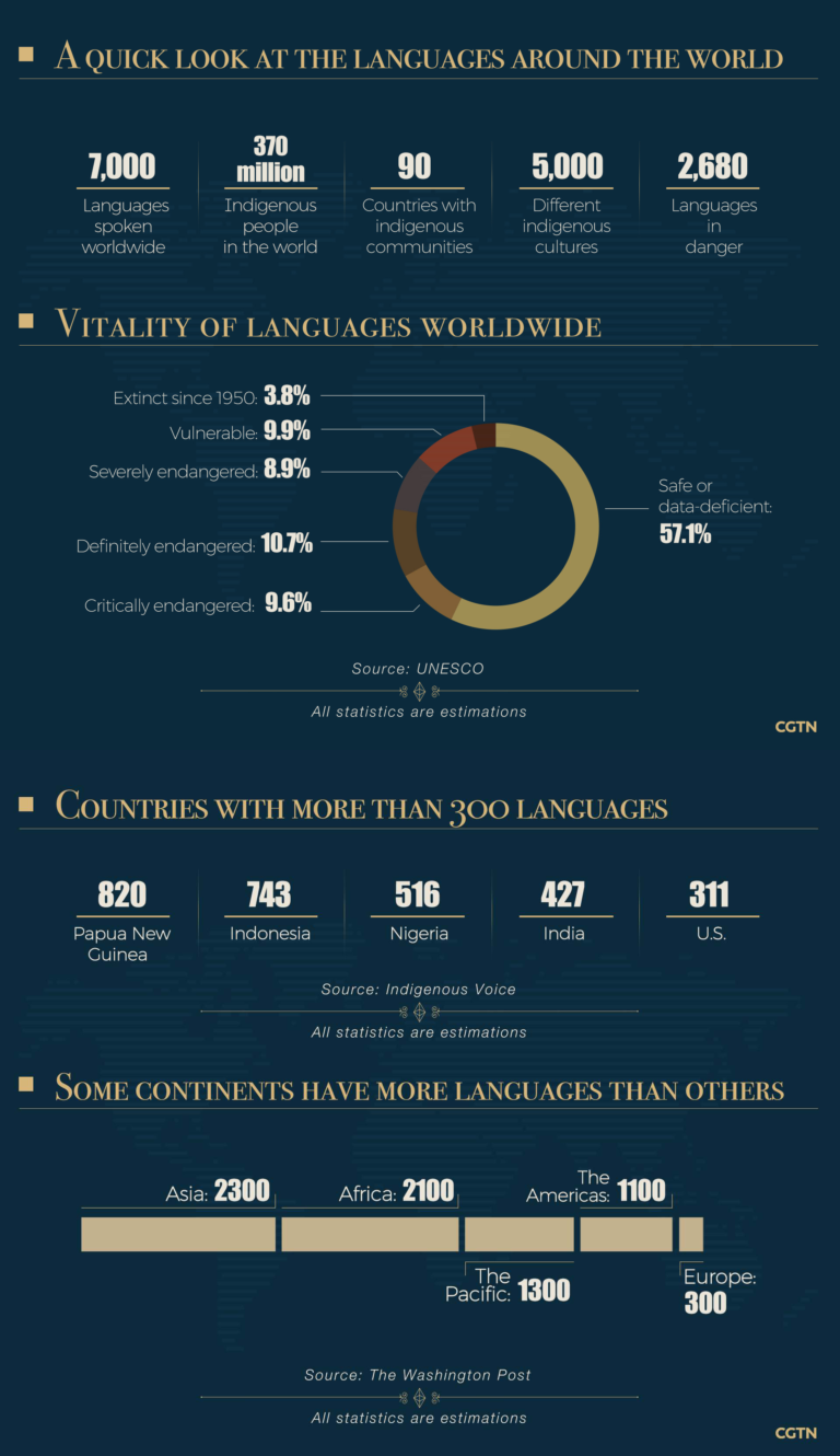 Infographic : A quick look at the languages around the world (CGTN ...