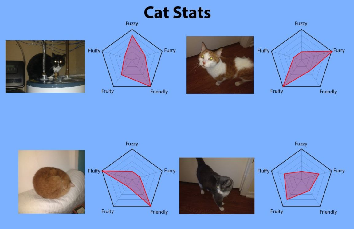 Infographic : Cat Stats – Infographic.tv – Number one infographics ...