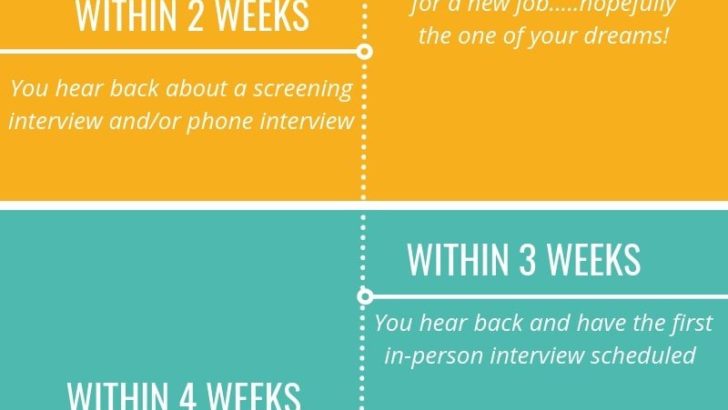 The internet's best infographics to learn something new everyday