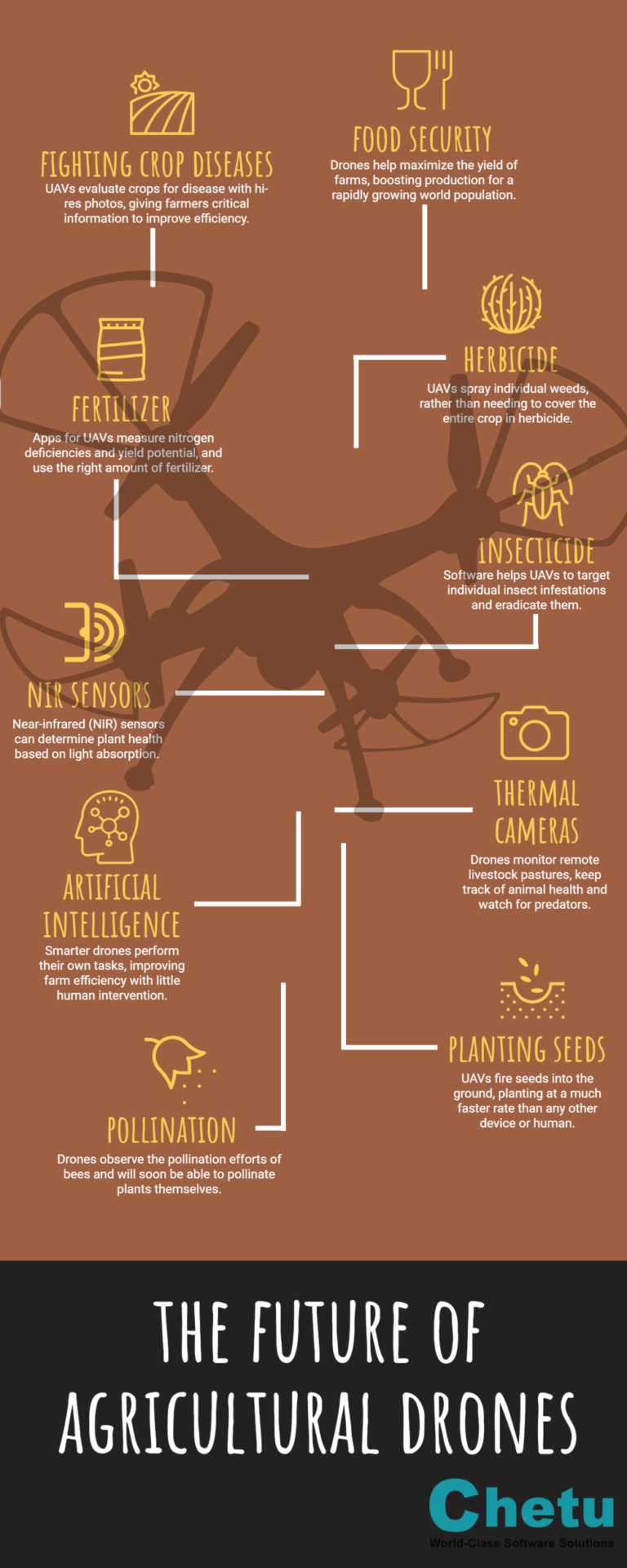 Infographic : The Future of Agricultural Drones – Infographic.tv ...