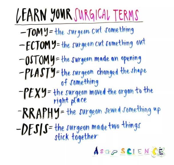 Visual : Easy way to understand surgical terms – Infographic.tv ...