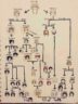 Visual : Family tree of the Otsutsuki, Uchiha, Senju, Uzumaki, and ...
