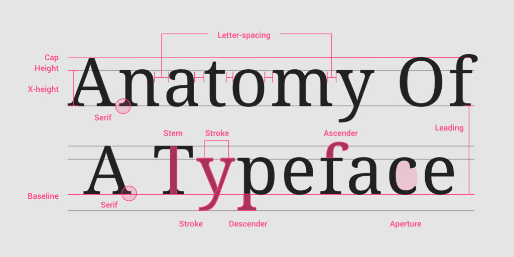Visual : Know your type. – Infographic.tv – Number one infographics ...