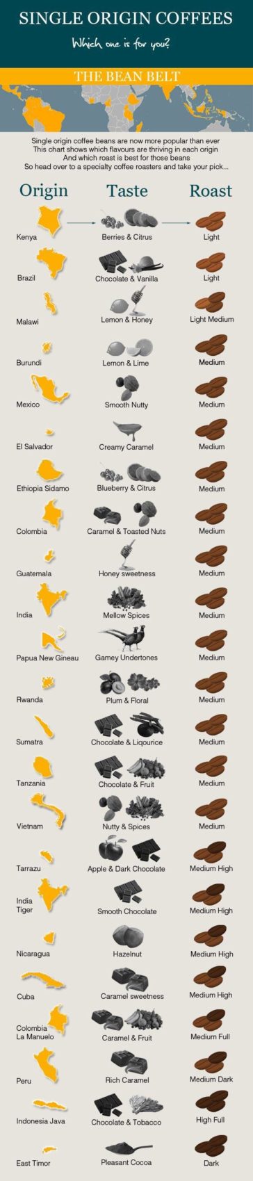 Visual : Single Origin Coffees - Infographic.tv - Number one ...