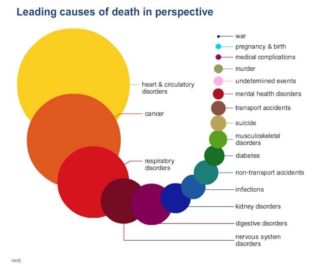 Visual : The leading causes of human death. – Infographic.tv – Number ...