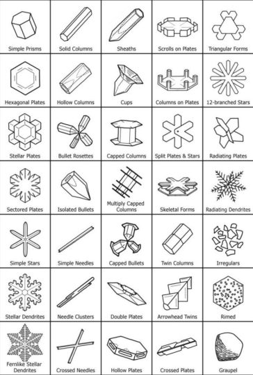 Visual : Types of snowflakes - Infographic.tv - Number one infographics ...