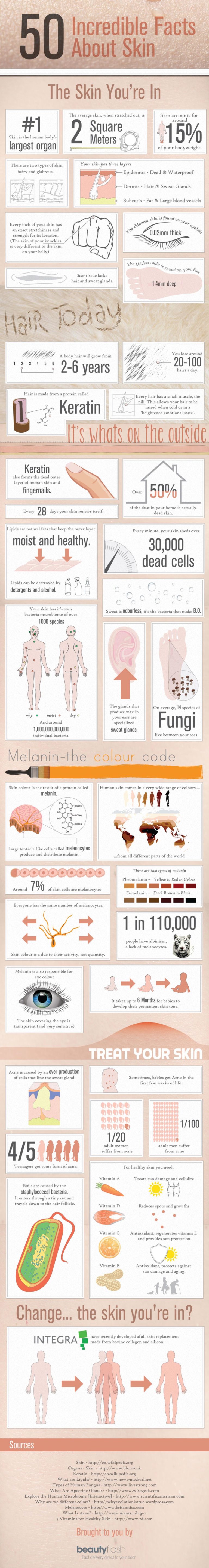 Visual : Ultimate guide to your skin – Infographic.tv – Number one ...