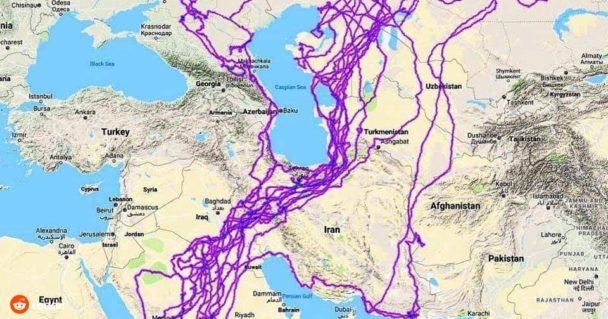 data visualization : An eagle's movement over 20 years - Infographic.tv ...