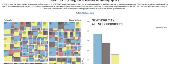data visualization : Interactive New York City’s Demographics [OC ...