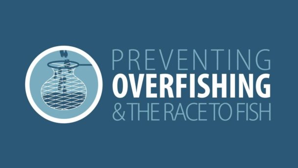 Video Infographic : Ocean Prosperity Roadmap Animated Infographic ...