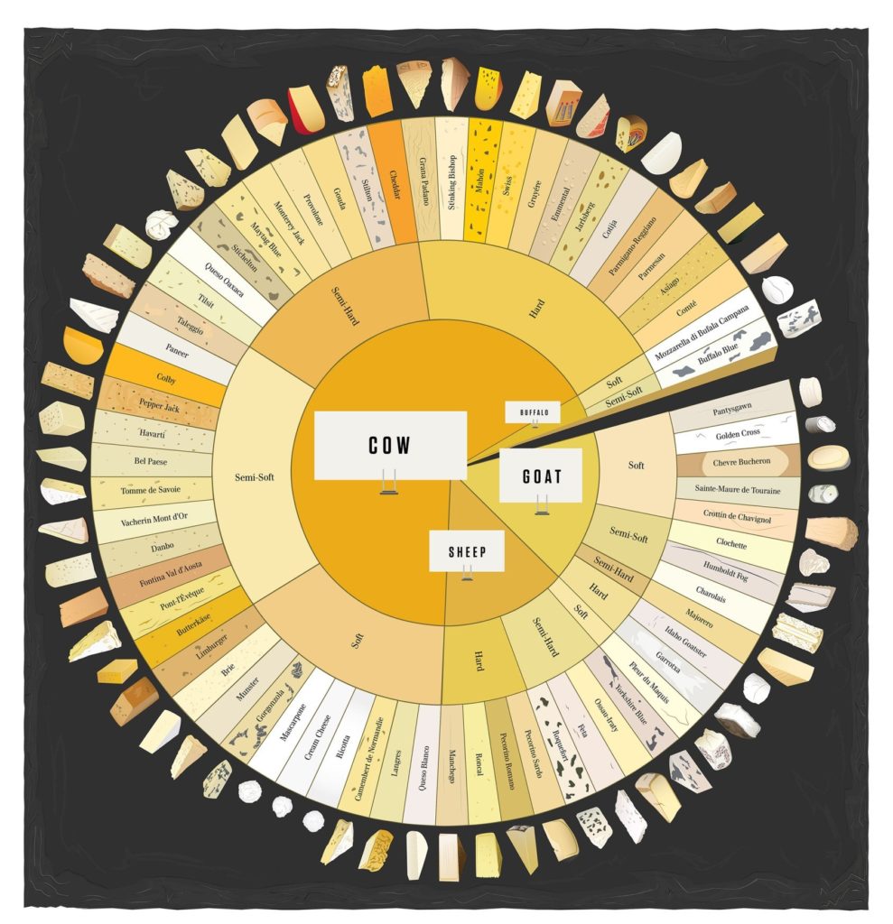 Infographic : A handy guide to all the different types of cheeses ...