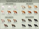 Infographic : Color Morphs in European Foxes [crosspost from r/foxes ...