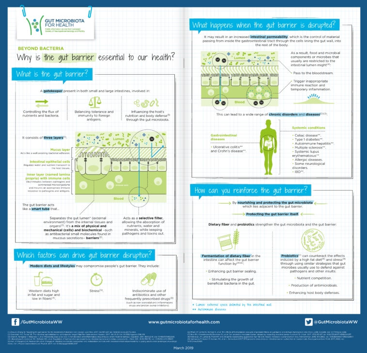 Infographic : Learning about the gut barrier’s essential role to our ...