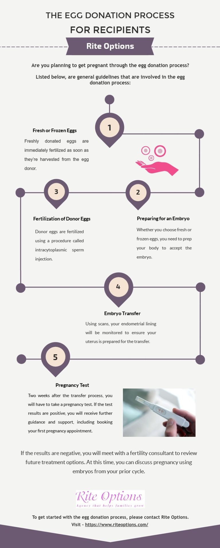 Infographic : THE EGG DONATION PROCESS FOR RECIPIENTS – Infographic.tv ...