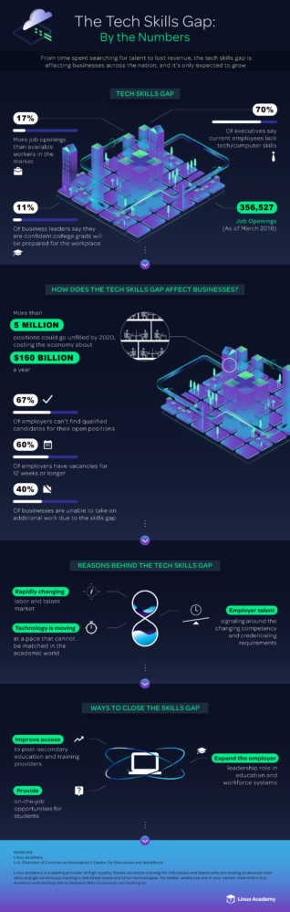 Infographic : The Tech Skills Gap: By the Numbers [infographic ...