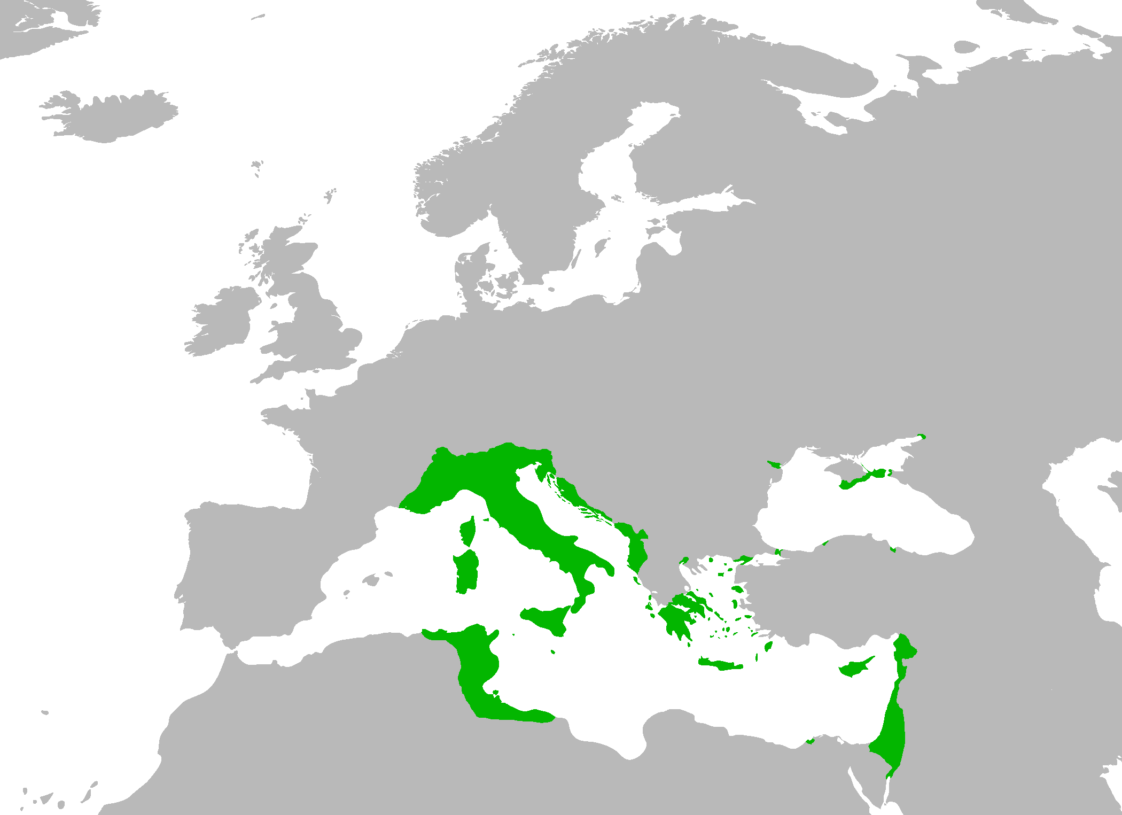 Map : Italy with every territory each pre-unification state ever ...